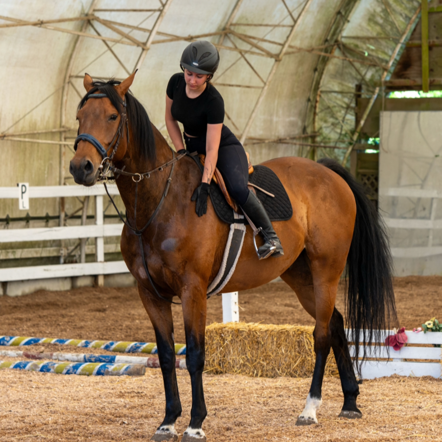 Coupon Buzz | Best deals and discounts available in Canada! | Coupon Buzz